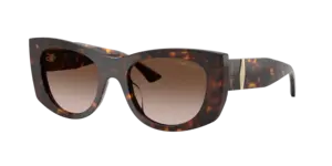 JIMMY CHOO Sunglass Jc5066u Brown Gradient