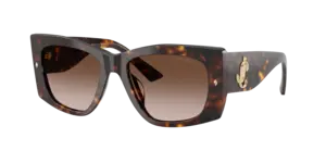 JIMMY CHOO Sunglass Jc5061u - Brown Gradient