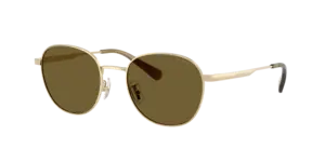 COACH Man Sunglass Cdp36 Olive Solid