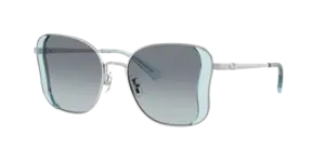 COACH Sunglass Cdp51 Ocean Gradient