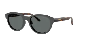 ARNETTE Sunglass An4375