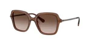 SWAROVSKI Sunglass Sk6040 Brown Gradient