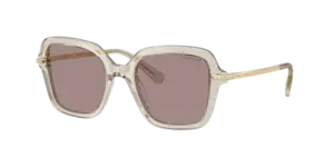 SWAROVSKI Sunglass Sk6040 Violet