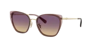 COACH Sunglass Cdp56 Iris Yellow Gradient