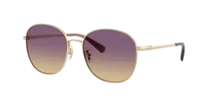 COACH Sunglass Cdp39 Iris Yellow Gradient