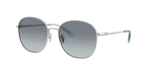 COACH Sunglass Cdp39 Ocean Gradient