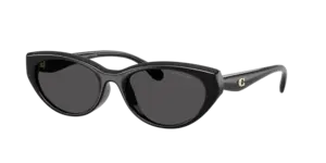 COACH Sunglass Cdp42 Grey Solid