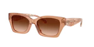 COACH Sunglass Cdp49 Brown Gradient