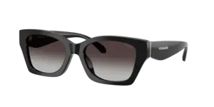 COACH Sunglass Cdp49 Grey Gradient
