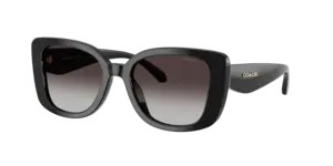 COACH Sunglass Cdp48 - Grey Gradient