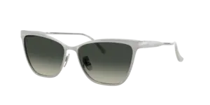 FERRARI Sunglass Fh1031 - Grey
