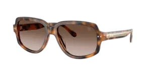 Ralph Lauren Sunglass Rl8238u - Gradient Brown