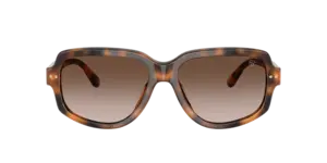 Ralph Lauren Sunglass Rl8238u - Gradient Brown