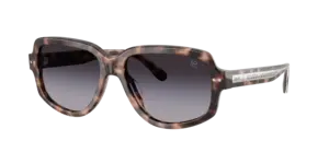 Ralph Lauren Sunglass Rl8238u Gradient Grey