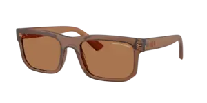 Armani Exchange Man Sunglass Ax4165sf Bronze