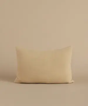 TTMM FOR JENNI KAYNE HOME Vale Lumbar Pillow