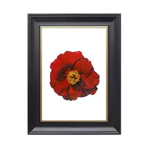 JOHANNA FLEMING Camellia Flower Fine Art Print - Red
