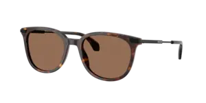 Moncler Sunglass Korra - Solid Brown