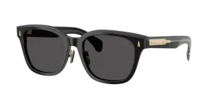Moncler Sunglass Metrope Dark Grey
