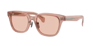 Moncler Sunglass Metrope - Pink