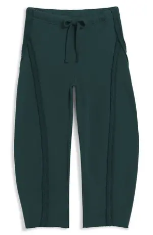 Frank & Eileen Bibi Barrel Leg Cotton Pants