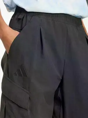 Adidas Terrex Xploric Clima365 Cargo Pants