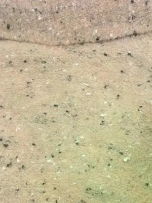 D.exterior Flecked Roll-neck Sweater