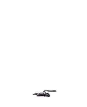 Hermès Pm So Pegase Rodeo Touch Bag Charm Leather With Alligator