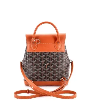Goyard Alpin Backpack Coated Canvas