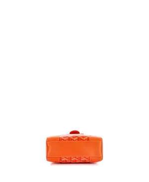 Goyard Saigon Top Handle Bag Coated Canvas With Leather