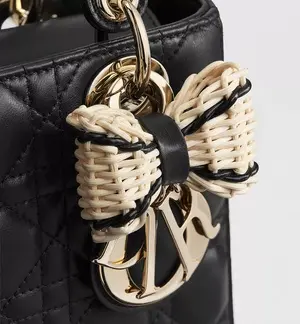 Dior Dioriviera Small Lady Bag With Strap