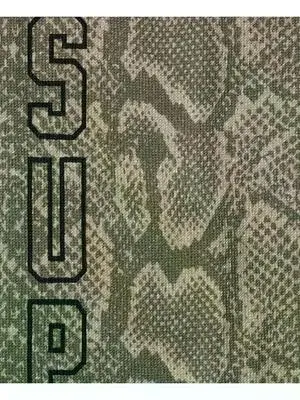 Supreme Realtree Hardwoods Camo Raglan Sweatshirt