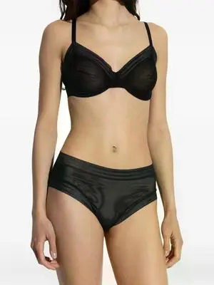 Hanro Sheer Lace-trim Briefs