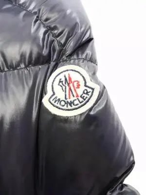 Moncler 2010s Blier Hooded Down Jacket