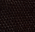 Khaite Blake Long Clutch In Lizard