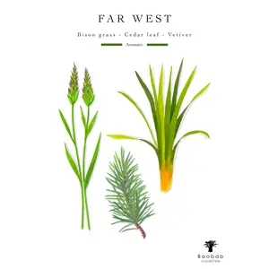 BAOBAB COLLECTION Far West Max 10 Candle