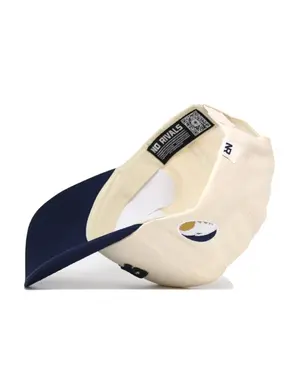 NO RIVALS Upside Down Eagles Georgia Southern Classic Colors Hat