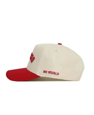 NO RIVALS Upside Down Georgia Classic Colors Hat