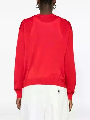 Liviana Conti V-neck Sweater