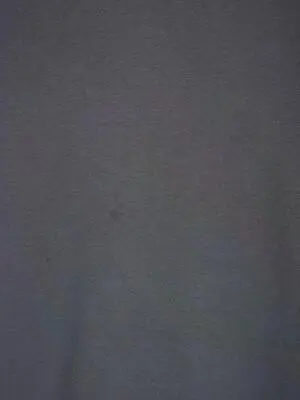 DANIELE FIESOLI Crew-neck T-shirt