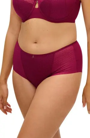 Fantasie Evolution Comfort Full Coverage Briefs - Ruby