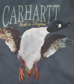 Carhartt Work In Progress Organic Cotton Pennon T-shirt