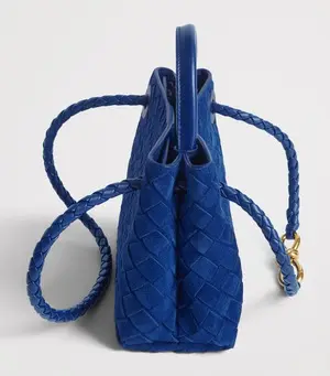 Bottega Veneta Mini Suede Andiamo Top-handle Bag