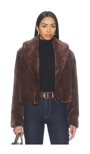 Blanknyc Faux Fur Teddy Coat In Brown - First Class