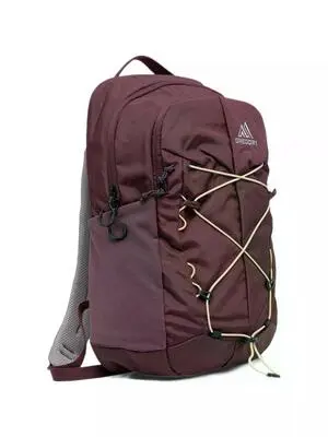 GREGORY Terros 20l Bungee-cord Backpack