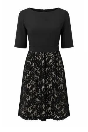 CONQUISTA Lace Panel Fit-and-flare Dress