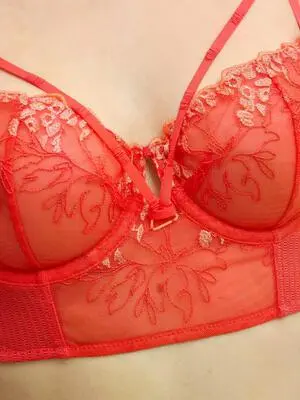 Chantelle Spice Embroidered Lace-trim Bra