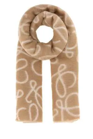 Loewe 27x158 Scarf - Multicolor