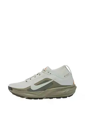 Nike Pegasus Trail Gore-tex Sneakers - Neutrals