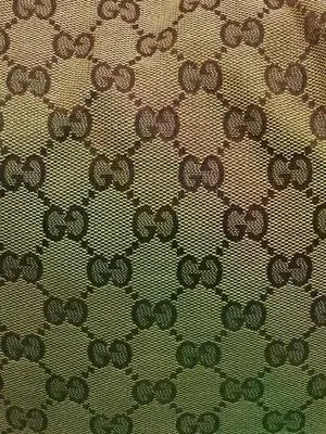 Gucci Medium Full Moon Gg Canvas Bag